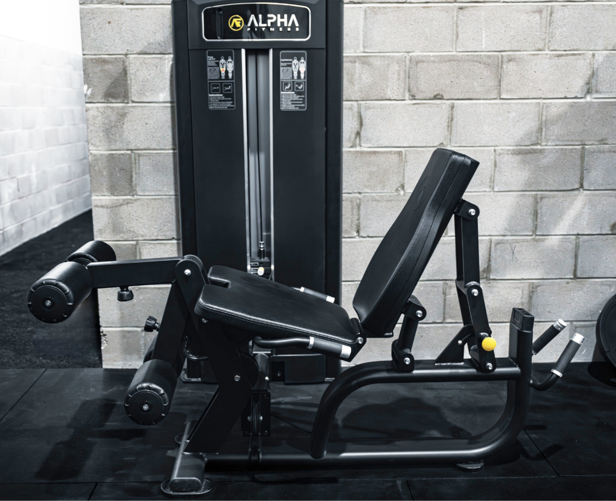 Combo extension des jambes et flexion des jambes allongée Alpha Fitnes ...